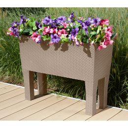 Pflanzk&uuml;bel Prosperplast, B:80cm H:65cm T:33cm, beige, Kunststoff, Terasse, Pflanzgef&auml;&szlig;e, "Rato Case High", BxTxH: 80x33x65 cm