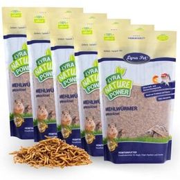 LYRA PET Mehlw&uuml;rmer getrocknet 5x1 kg