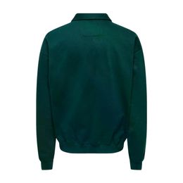 Only & Sons Only & Sons Pullover BLAIS Sweatshirt