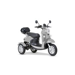 ENEWAY 3-Rad E-Mobil Modena II 25 km/h E-Trike ETrike Elektrofahrzeug Mobilit&auml;tsfahrzeug silber