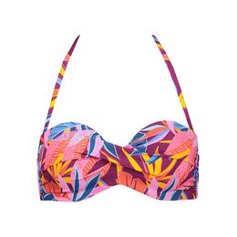 Buffalo Bikini-Oberteil in Lila/ Pink - 62% | Gr&ouml;&szlig;e 42D-Cup | Damen-bademode