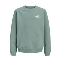 Jack & Jones JACK & JONES Junior Sweatshirt in Laurel Wreath | Gr.: 164