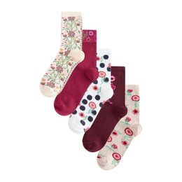 next Socken Damen Gr&ouml;&szlig;e 36/41 elfenbein / pink / wei&szlig;
