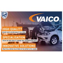 VAICO Lagerung, Motor Original Qualit&auml;t v461187 vorne rechts f&uuml;r RENAULT