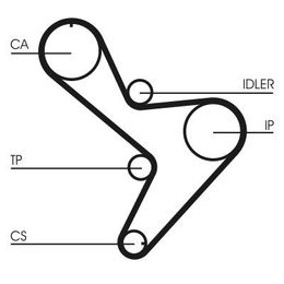 CONTINENTAL CTAM Zahnriemen ct1034 f&uuml;r Vaughall GM RENAULT Iveco Peugeot Opel