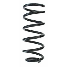 SPIDAN Fahrwerksfeder 87265 Hinterachse f&uuml;r BMW