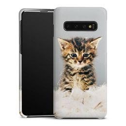DeinDesign Galaxy S10 Handy Premium Case Smartphone Handyh&uuml;lle Schutzh&uuml;lle matt Cat Pet Feather Premium Case