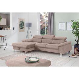 COTTA Ecksofa &raquo;Komaris L-Form, B: 244 cm&laquo; mit Kopfteilverstellung, optional Schlaffunktion, Bettkasten & Licht Microfaser PRIMABELLE (100% Polyester);