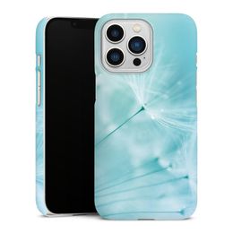 DeinDesign iPhone 13 Pro Handy Premium Case Smartphone Handyh&uuml;lle Schutzh&uuml;lle matt Dandelion Flower Winter Premium Case