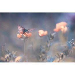 papermoon Fototapete &raquo;Photo-Art FABIEN BRAVIN, DIE DAME VON LOTHLORIEN&laquo; bunt Vlies B/L: 4,5m x 2,8m, Bahnen: 9 Stk.