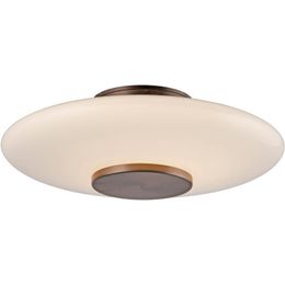 Neuhaus PURE LED Deckenleuchte &raquo;PURE Vitrum&laquo; LED-Board 1 Stk. Warmwei&szlig; Dimmf&auml;hig &uuml;ber separaten Dimmer, zeitloses Design wei&szlig; 1, &Oslash; 22cm H: 8,2cm, 1 