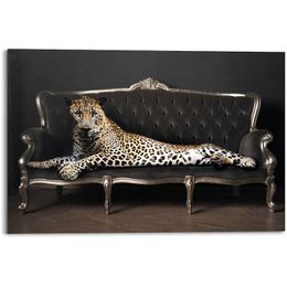 Reinders Wandbild &raquo;Wandbild Leopard Chic Panther - Liegend - Luxus - Relax&laquo; Leopard 1 Stk. tlg. schwarz MDF B/H/T: 90cm x 60cm, Leopard, 1 Stk.