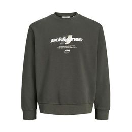 Jack & Jones JACK & JONES Junior Sweatshirt in Peat | Gr.: 128