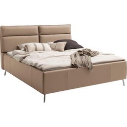 Home Affaire Polsterbett &raquo;Cozy Town&laquo; inkl. 7-fache Einlegetiefenverstellung & saugroboterfreundliche H&ouml;he beige 100% Leder Liegefl&auml;che L&auml;nge B: 200cm 