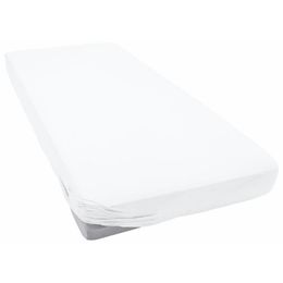 Primera Spannbettlaken &raquo;Elasthan-Feinjersey Boxspring&laquo; f&uuml;r hohe Matratzen, PREMIUM, aus 95% gek&auml;mmter Baumwolle, 5% Elasthan wei&szlig; Jersey-Elasthan, 