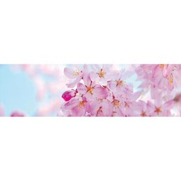 papermoon Fototapete &raquo;Cherry Blossom Panorama&laquo; matt bunt Vlies B/L: 3,5m x 1m