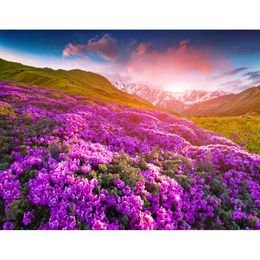 papermoon Fototapete &raquo;Berge Blumen&laquo; bunt Vlies B/L: 4,5m x 2,8m, Bahnen: 9 Stk.