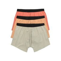 Men Plus Slip in terra | Gr.: 7XL