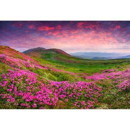 papermoon Fototapete &raquo;Rhododendron Blumen&laquo; bunt Vlies B/L: 3m x 2,23m, Bahnen: 6 Stk.