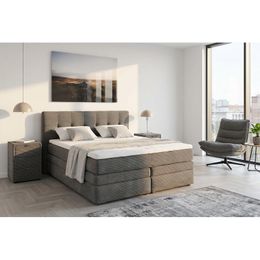 Jockenh&ouml;fer Boxspringbett &raquo;Amy&laquo; mit 6 cm Kaltschaum-Topper, Cord-Bezug, 180x200 und 200x200 cm grau Bezug Bett: Cordstoff (100% Polyester);Topper und 