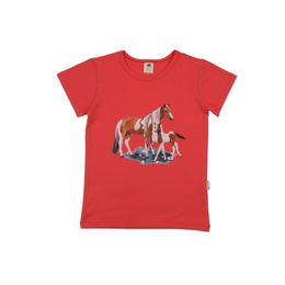 Walkiddy T-Shirt Little & Big Horses -T-Shirt | Gr.: 116