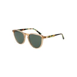 Pepe Jeans M&auml;nner Sonnenbrille Panto Honig | Gr.: onesize