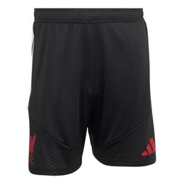 ADIDAS PERFORMANCE Workout Pants 'Liverpool FC 26/27 Tiro' male size M Red / Black / White
