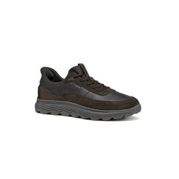 Geox Sneakers Low U Spherica Plus A in braun | Gr.: 44