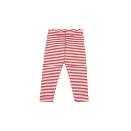 Noppies Leggings in Dusty Cedar | Gr.: 86