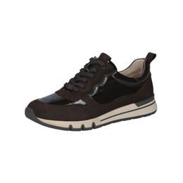 Caprice Sneaker in DK BROWN COMB | Gr.: 38
