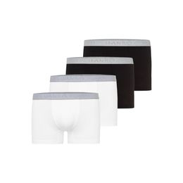 Hanro Retro Short / Pant Cotton Essentials in Wei&szlig; / schwarz | Gr.: S