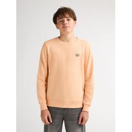 PETROL INDUSTRIES Bedrucktes Crewneck-Sweatshirt Ocotillo in Orange | Gr.: 116