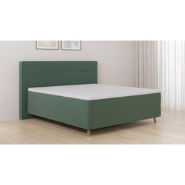 BRUNO Boxspringbett Premium 240x200cm in Gr&uuml;n | Matratzen-H&auml;rtegrad: Links H2 / Rechts H3 | mehrfach ausgezeichnet in Design & Qualit&auml;t