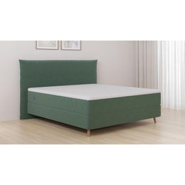 BRUNO Boxspringbett Premium 200x200cm in Gr&uuml;n | Matratzen-H&auml;rtegrad: Links H3 / Rechts H3 | mehrfach ausgezeichnet in Design & Qualit&auml;t