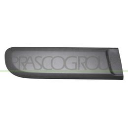 PRASCO Zier-/Schutzleiste, T&uuml;r ft1241453 hinten rechts f&uuml;r Fiat