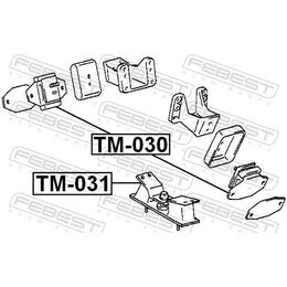 FEBEST Lagerung, Motor tm030 vorne f&uuml;r TOYOTA