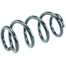 CS GERMANY Fahrwerksfeder 14950823 Vorderachse f&uuml;r Audi