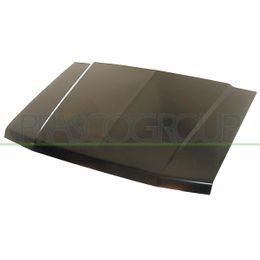 PRASCO Motorhaube mb1553100 f&uuml;r MITSUBISHI