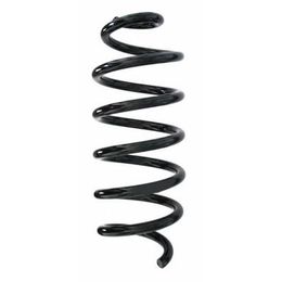 SPIDAN Fahrwerksfeder 87880 Hinterachse f&uuml;r RENAULT
