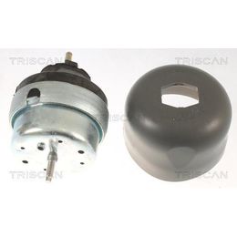 TRISCAN Lagerung, Motor 850529177 f&uuml;r VW