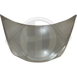 DIEDERICHS Motorhaube 7940200 vorne f&uuml;r Tesla
