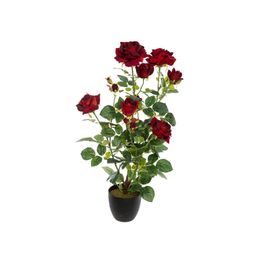 Atmosphera Cr&eacute;ateur d'int&eacute;rieur Kunstpflanze in rot | Gr.: onesize