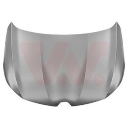 Van Wezel Motorhaube 4407660 f&uuml;r RENAULT