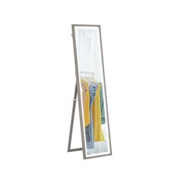 HOMCOM Ganzk&ouml;rperspiegel in Grau 40L x 5B x 160H cm | Gr.: onesize