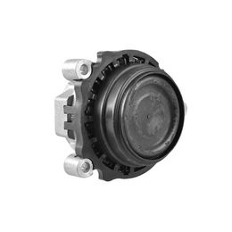 TEDGUM Lagerung, Motor ted97586 links f&uuml;r BMW