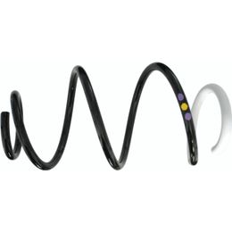 Sachs Fahrwerksfeder 993921 f&uuml;r RENAULT