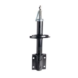 DR!VE+ Sto&szlig;d&auml;mpfer dp1610100029 Vorderachse f&uuml;r Fiat Peugeot Citro&euml;n