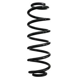 SPIDAN Fahrwerksfeder 88113 Hinterachse f&uuml;r TOYOTA