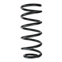SPIDAN Fahrwerksfeder 87210 Hinterachse f&uuml;r BMW