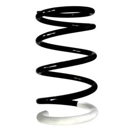 SPIDAN Fahrwerksfeder 87118 Hinterachse f&uuml;r TOYOTA